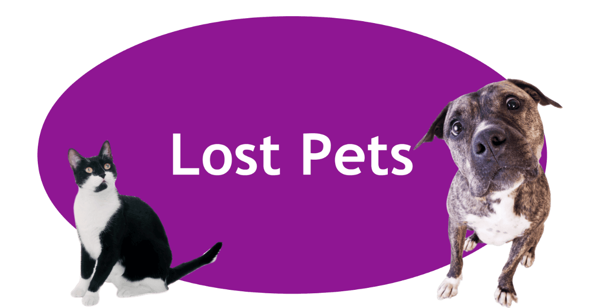Microchip or Tattoo – Kelowna Veterinary Hospital